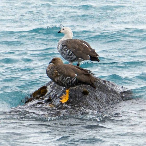 Quick travel guide to Torres del Paine - Into The Arms Of America